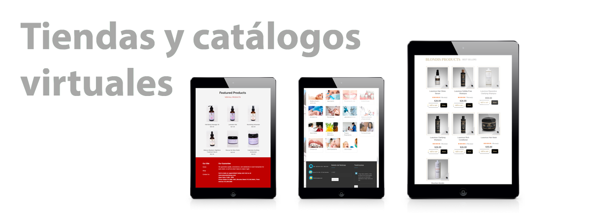 productos_virtuales | ElectrónicaWeb